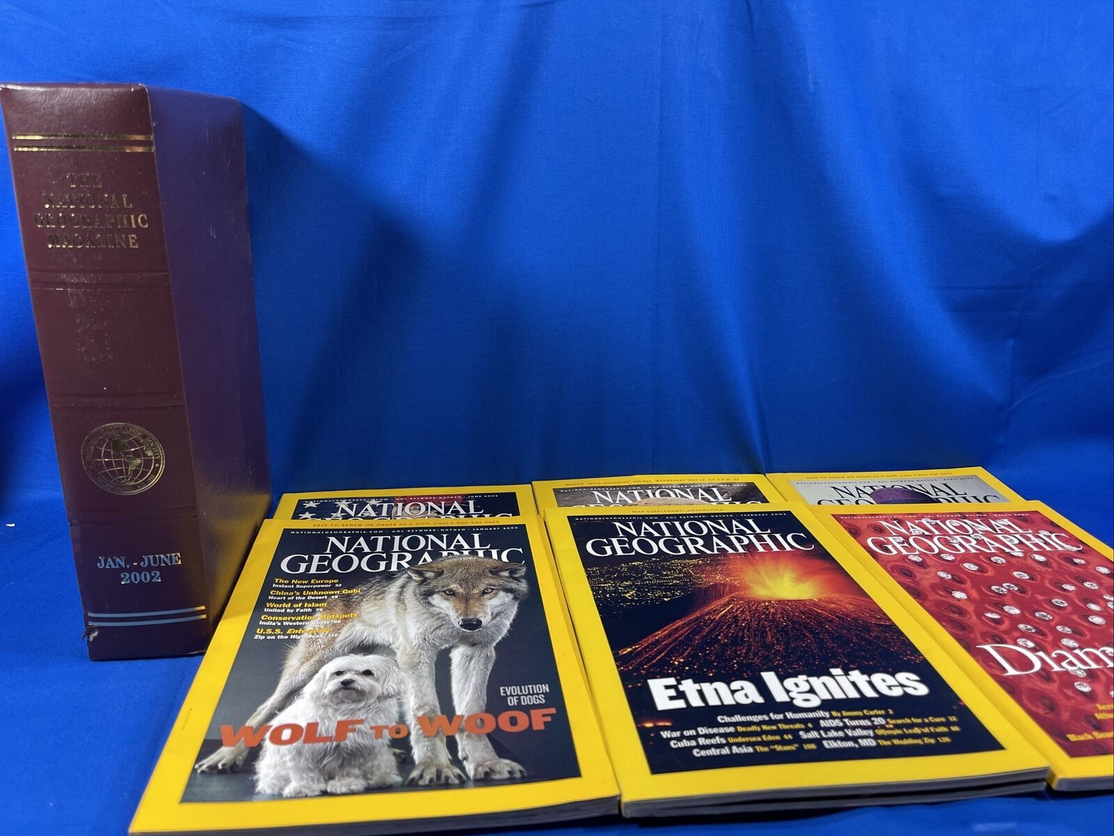 National Geographic Magazine JAN-JUNE 2002 with Faux Leather Case ...