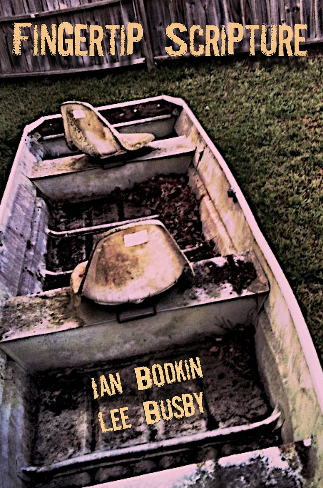Fingertip Scripture Ian Bodkin and Lee Busby - Books & Magazines