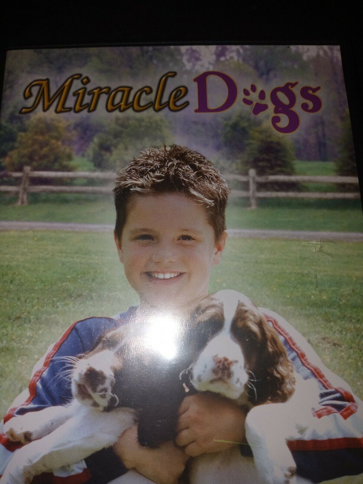 Miracle Dogs by Feature Films for Families (DVD, 2004) - DVDs & Blu-ray ...