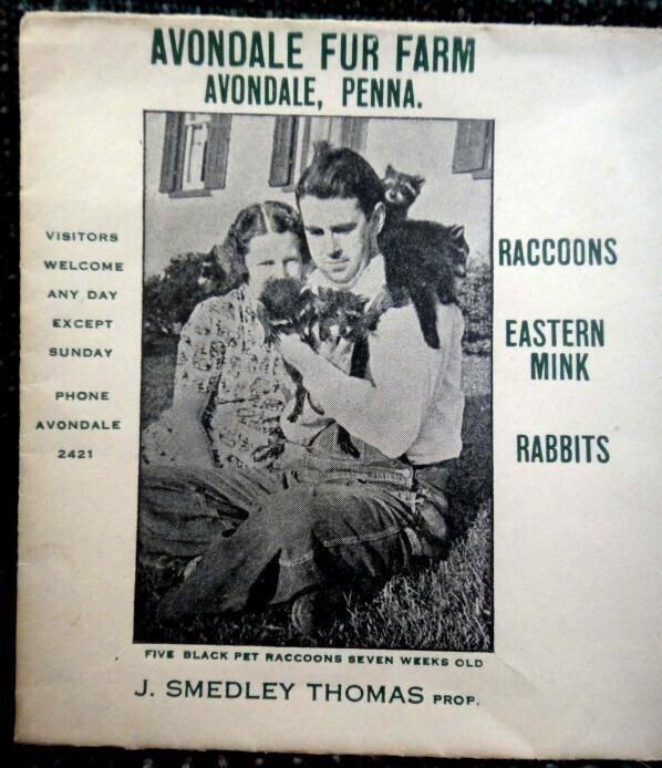 vintage AVONDALE FUR FARM ENVELOPE pa J.SMEDLEY THOMAS raccoons mink ...