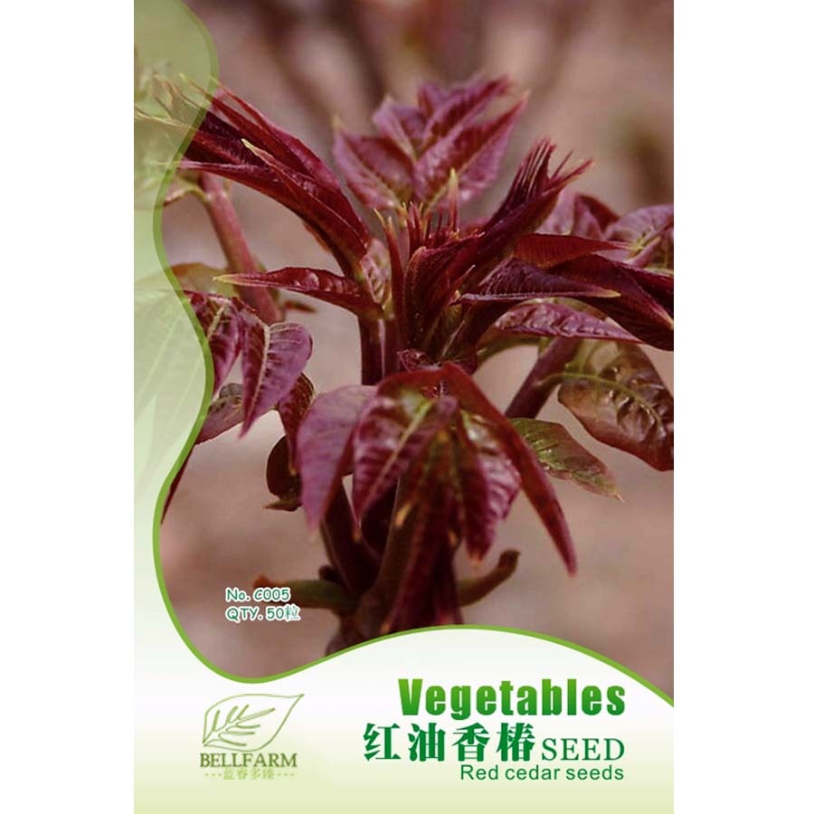 Chinese Toon Seeds Edible Red Oil Toon Sinensis Tree Bonsai Pack 50 ...