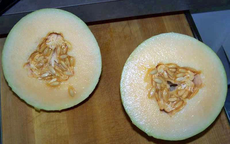 PSA Hami Melon 10 Seeds Fast Growing - Seeds & Bulbs