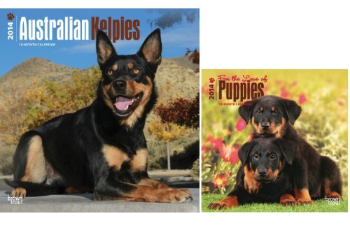 Australian Kelpies 2014 Wall Calendar & For the Love of Puppies 2014 ...