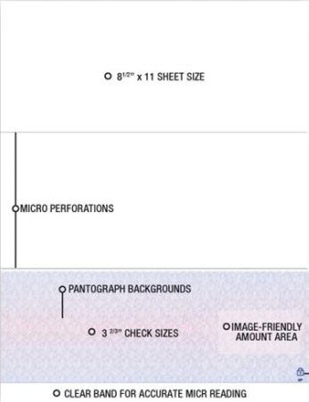 EGP Blank Laser Bottom Checks w/Two Vouchers, 2500 Count 3 2/3" Checks ...
