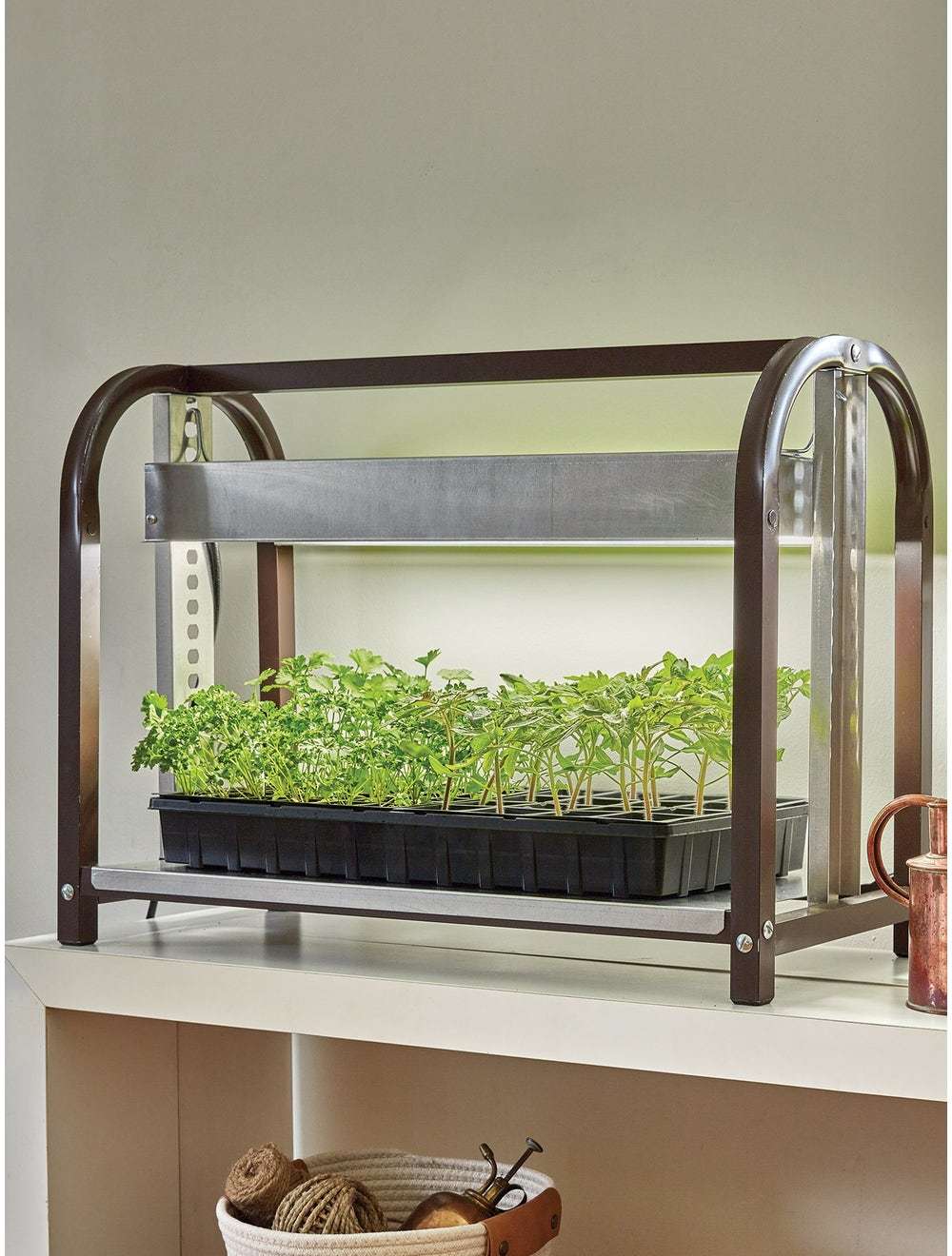 Burpee Tabletop LED Glow n Grow Light - Other