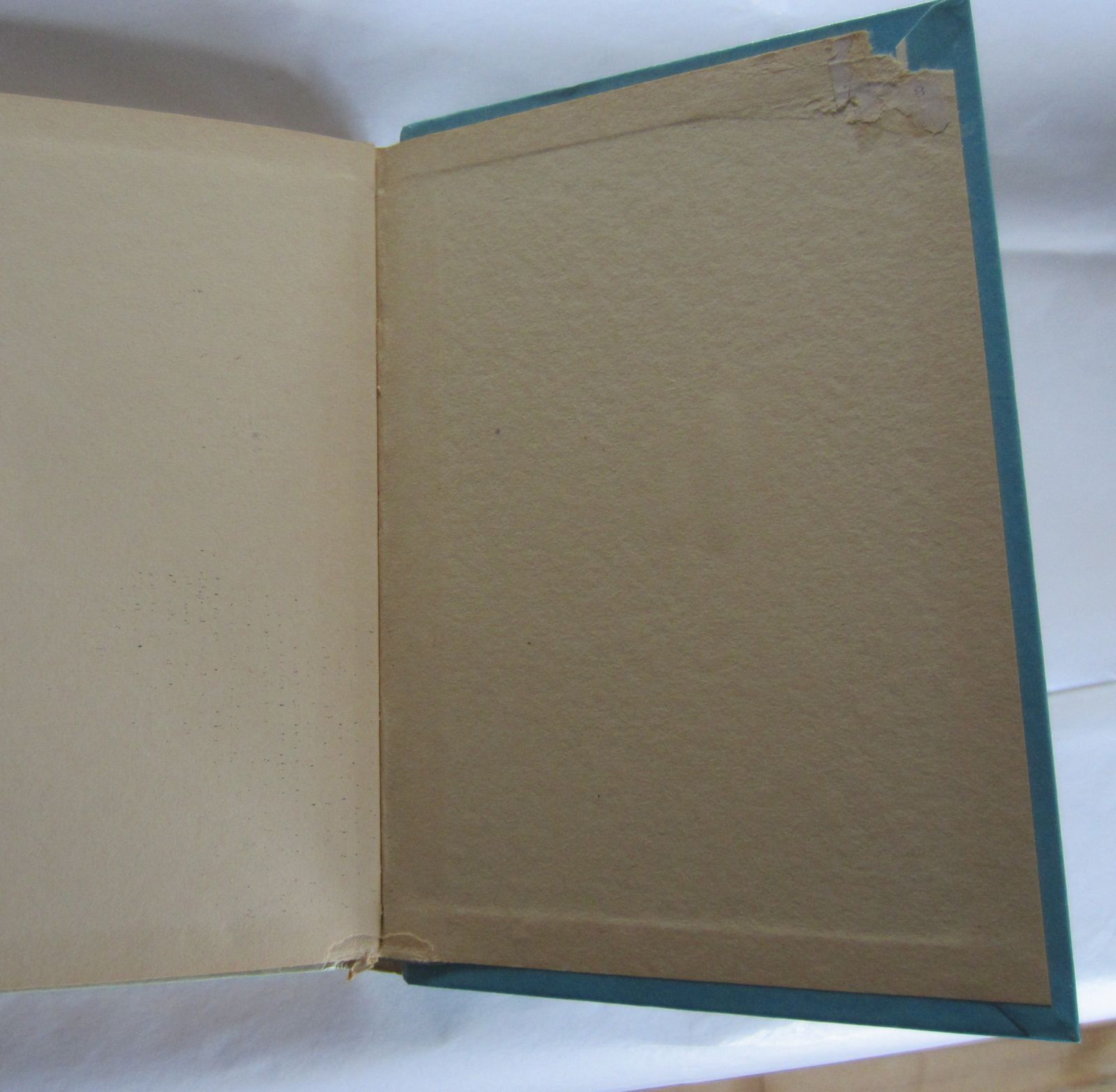 1968 Enid Blyton Adventures of Pip Pixie Book - Antiquarian & Collectible