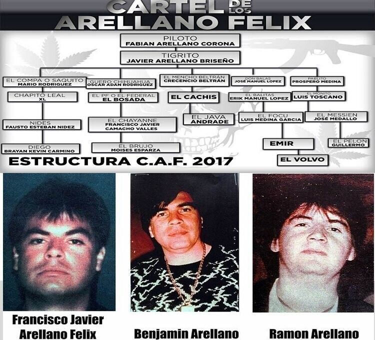 ARELLANO FELIX CARTEL 8X10 PHOTO MEXICO ORGANIZED CRIME DRUG CARTEL PICTURE - Mobs, Gangsters ...