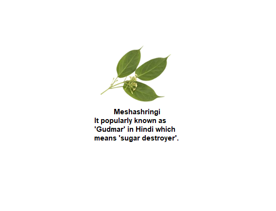 Meshashringi 60 Tablets box - Herbal Remedies & Resins