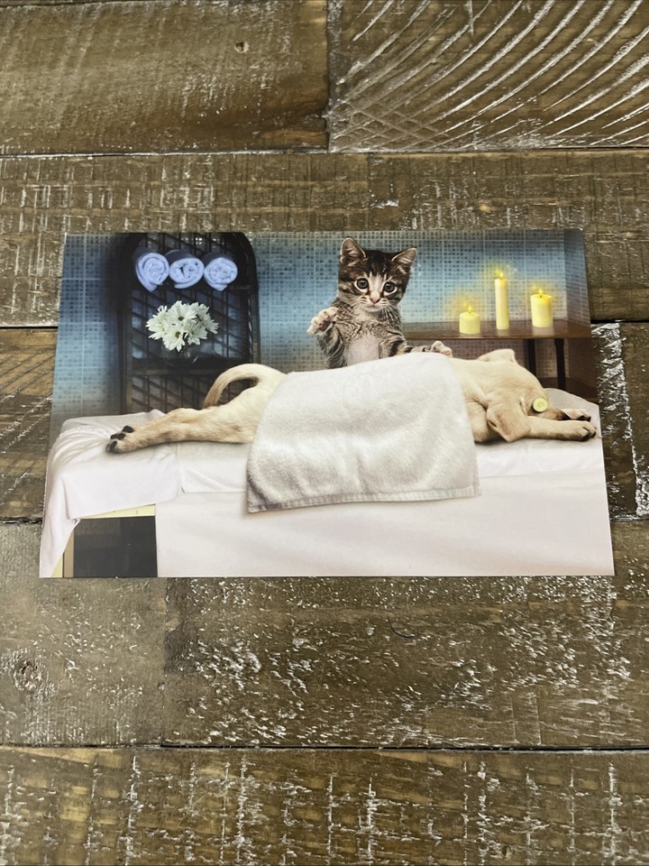 American Greetings Greeting Card Birthday Paws and Relax - Greeting ...