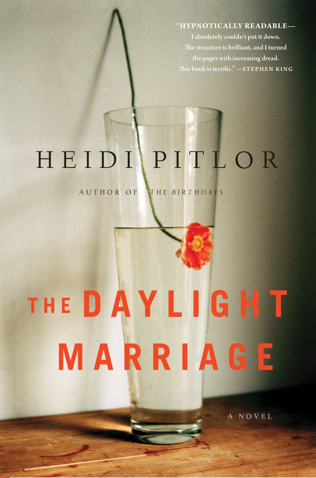 The Daylight Marriage Pitlor, Heidi - Fiction Books