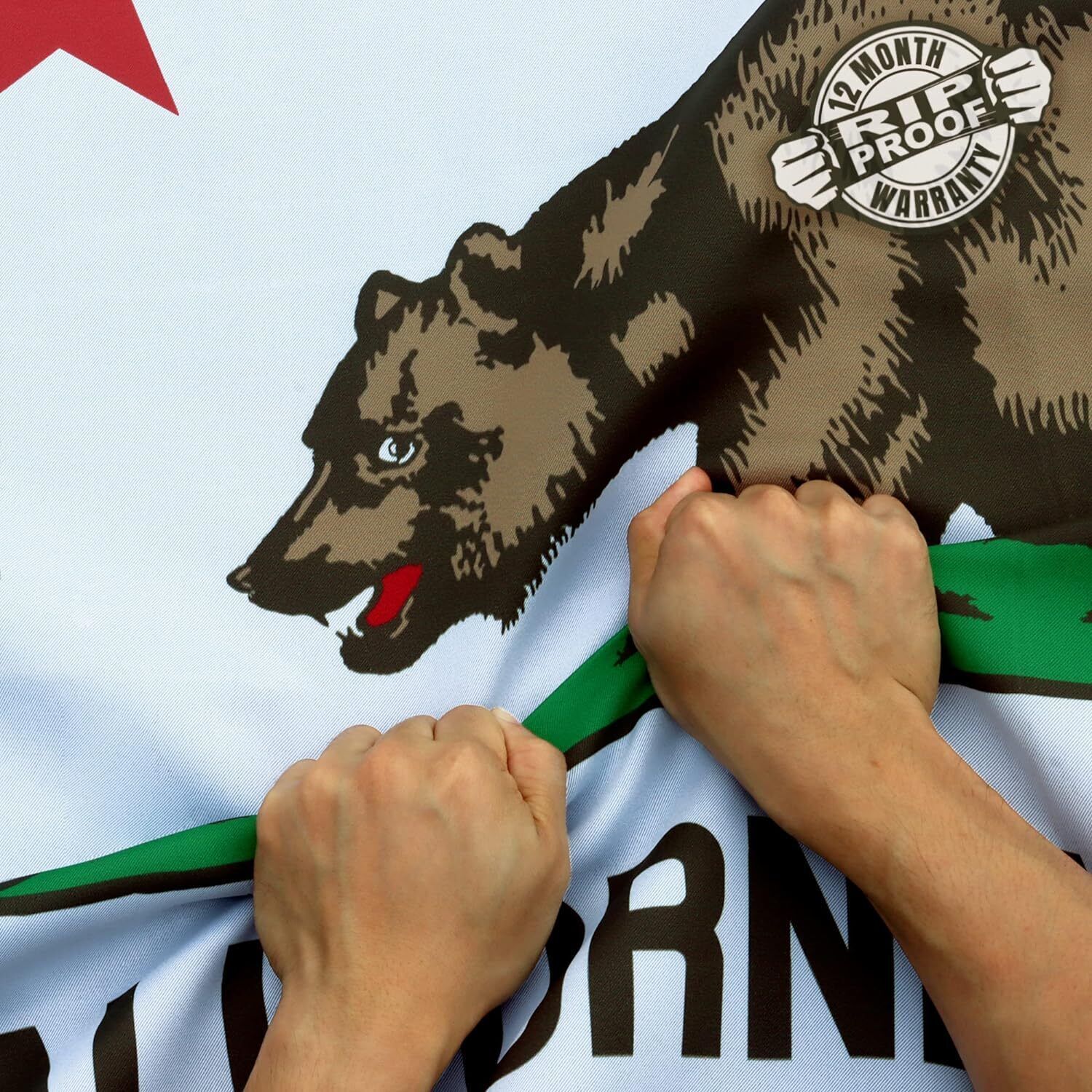 Anley Rip-Proof Technology Double Sided 3-Ply California State Flag 3x5 ...