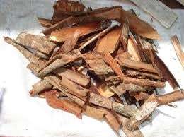 Kulit Pohon Saga - Adenanthera Pavonina Bark (Dried and Powder), 80 ...