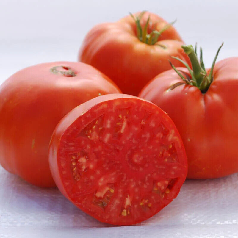 SYR 50 Seeds Brandywine Red Tomato Juicy Tomatoe Vegetable Edible Food ...