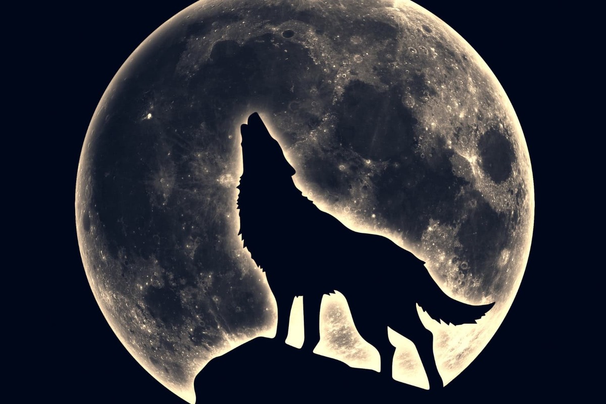 JAN 3rd REACH ALL GOALS SUPER MOON WOLF FULL MOON COVEN MAGICK Witch ...