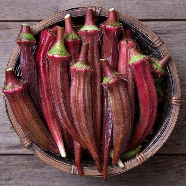 FMG 100 Seeds Red Burgundy Okra Seeds Đậu Bắp Organic 90% Germinate ...