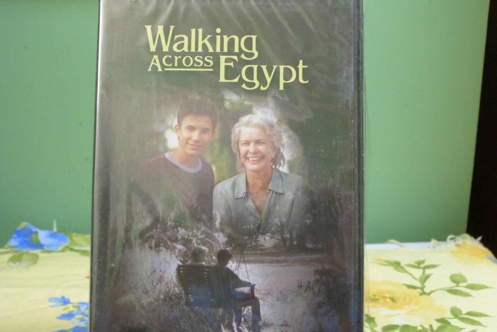 Walking Across Egypt - Ellen Burstyn, Jonathan Taylor Thomas Films For ...