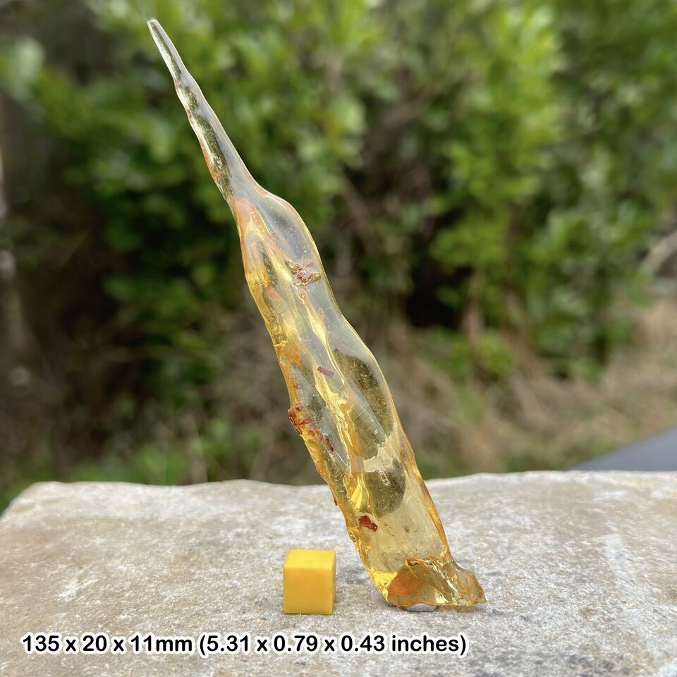 Fossilised copal with inclusions, pleistocene madagascar, certified ...