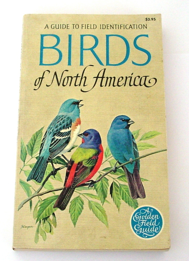 Golden Field Guide Identification BIRDS OF NORTH AMERICA Illustrated ...