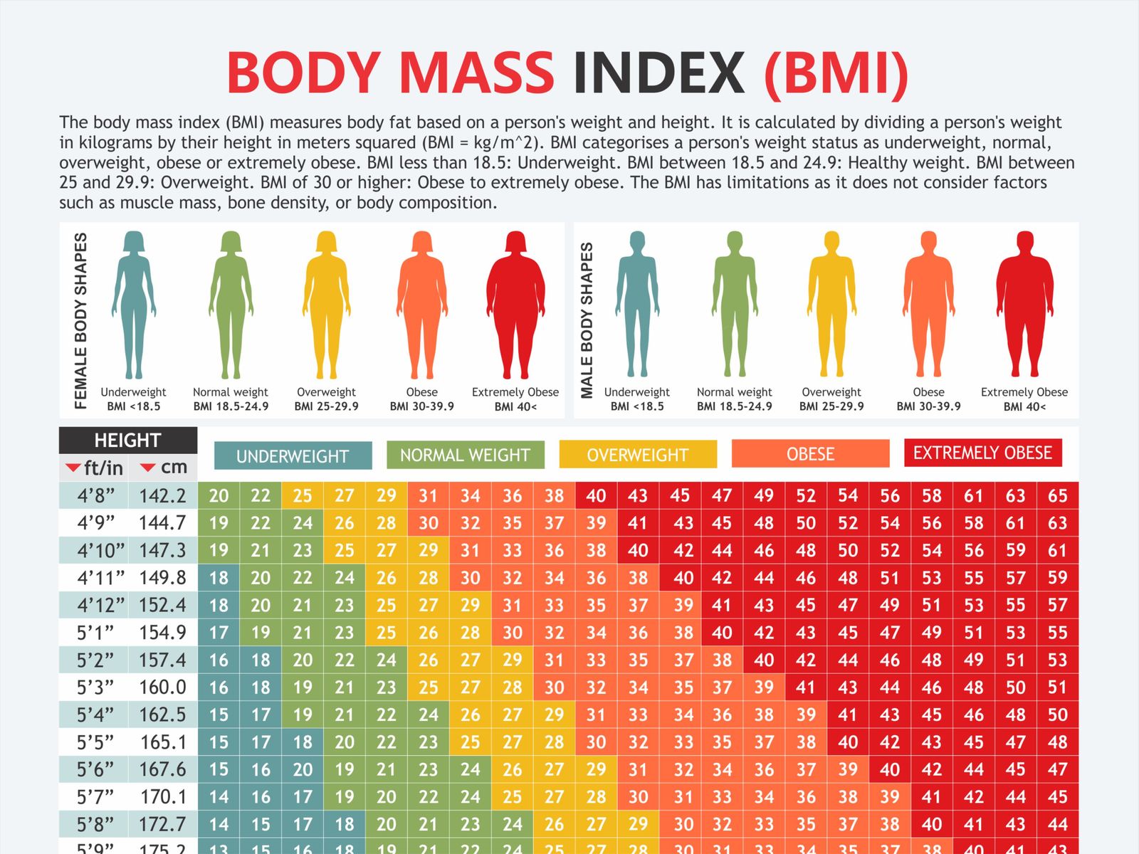 Body Mass Index Chart, digital download PDF, Height and weight, Body ...