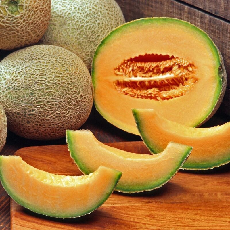 Delicious 51 Cantaloupe Seeds 50 Melon Fruit Summer Gardening - Seeds ...