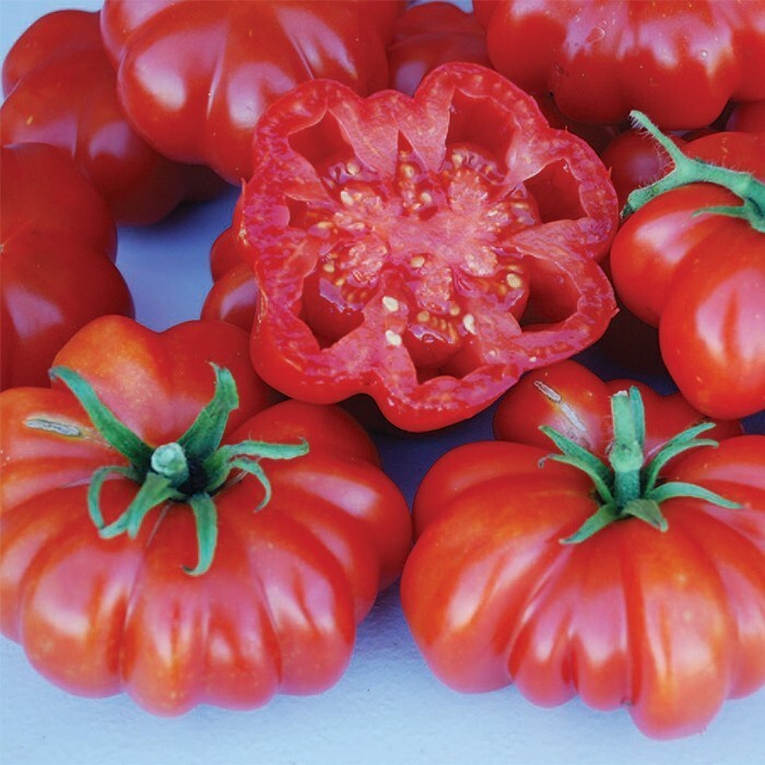 BRN 50 Seeds Rosso Sicilian Tomato Tomatoe Vegetable Fresh Garden ...