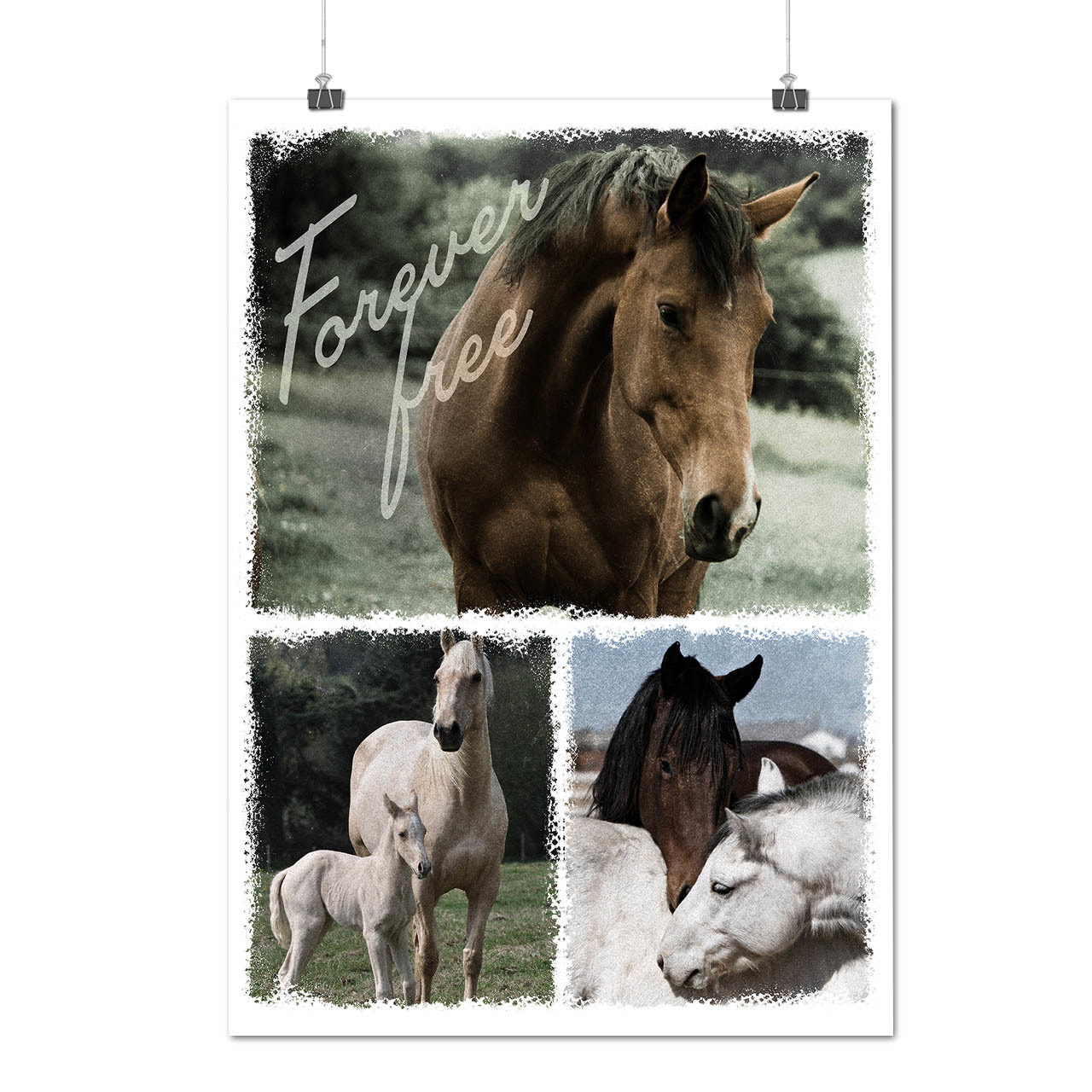 Horse Mustang Wild Animal Animal Charm Matte/Glossy Poster A0 A1 A2 A3 ...