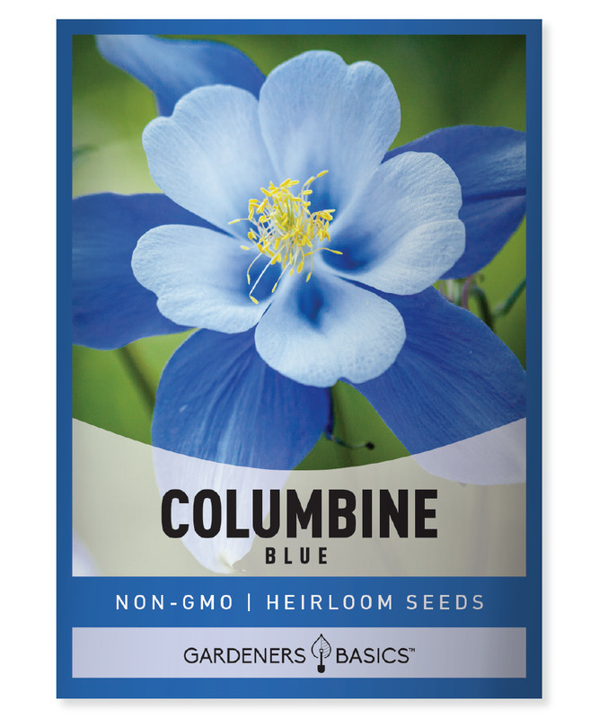 FMG Blue Columbine Seeds Fast Growing - Seeds & Bulbs
