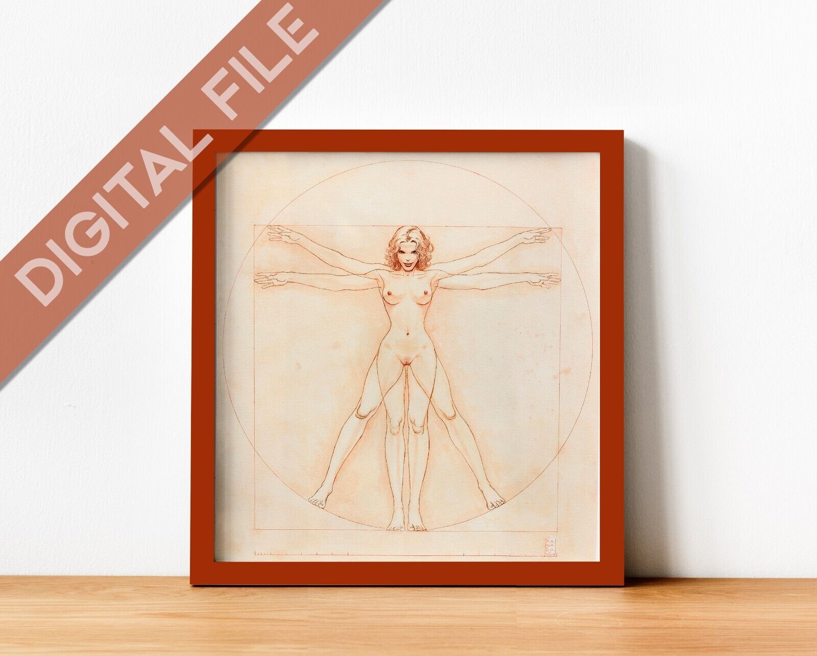 Milo Manara Femme de Vitruve, Hommage Léonard de Vinci - high quality ...