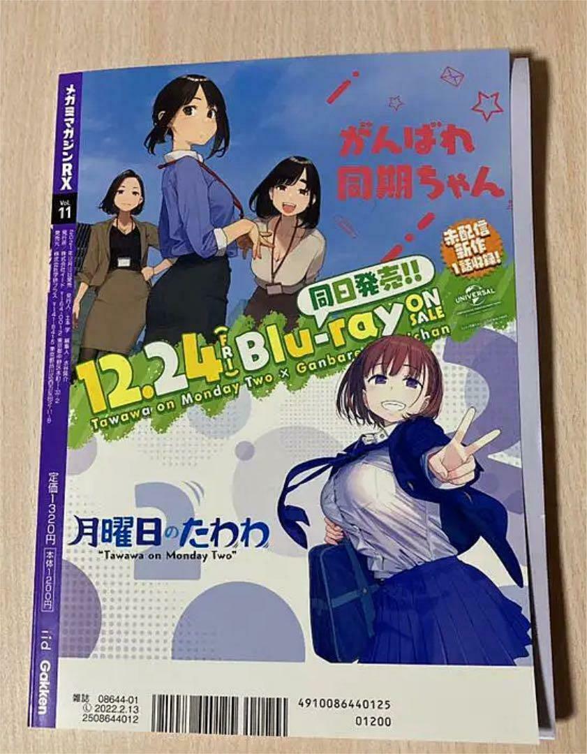 Megami Magazine RX Jan 2022 Moe Girl Anime Manga Illustration Book ...