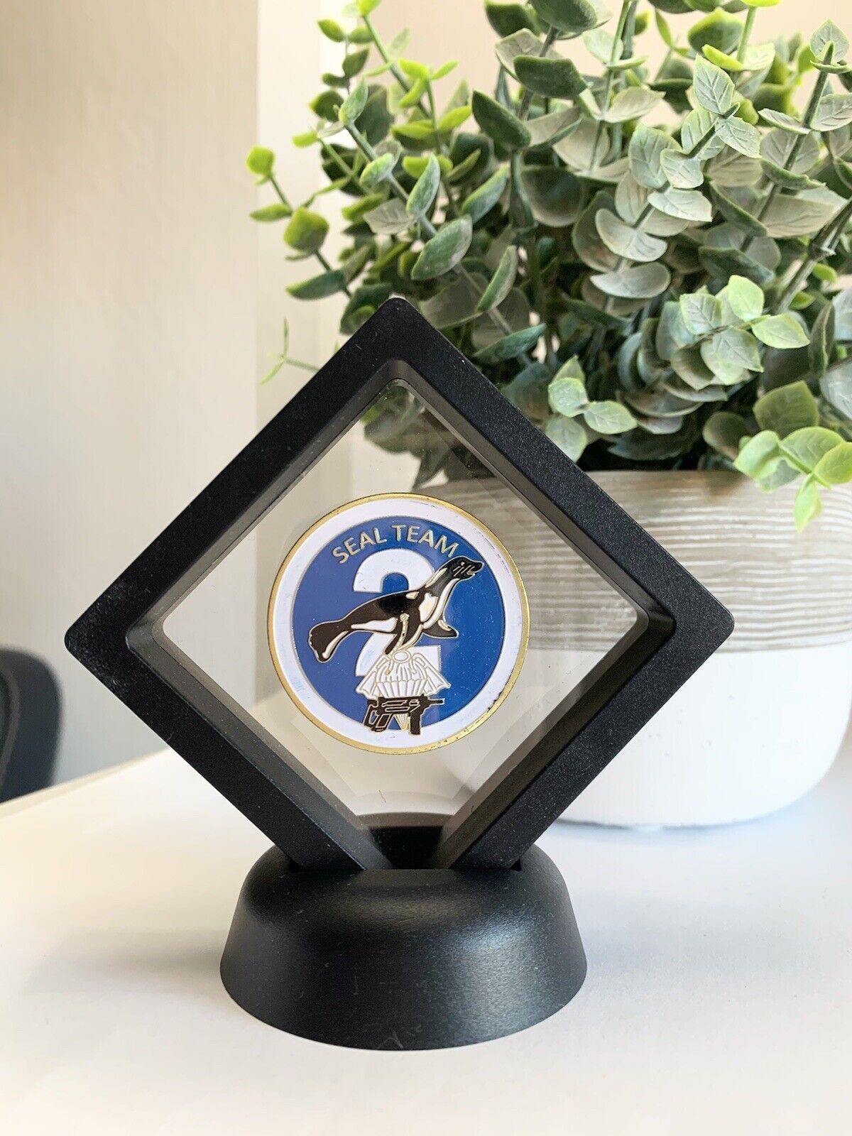 US Navy SEAL Team Two Naval Special Warfare Command NSW SOCOM Challenge ...