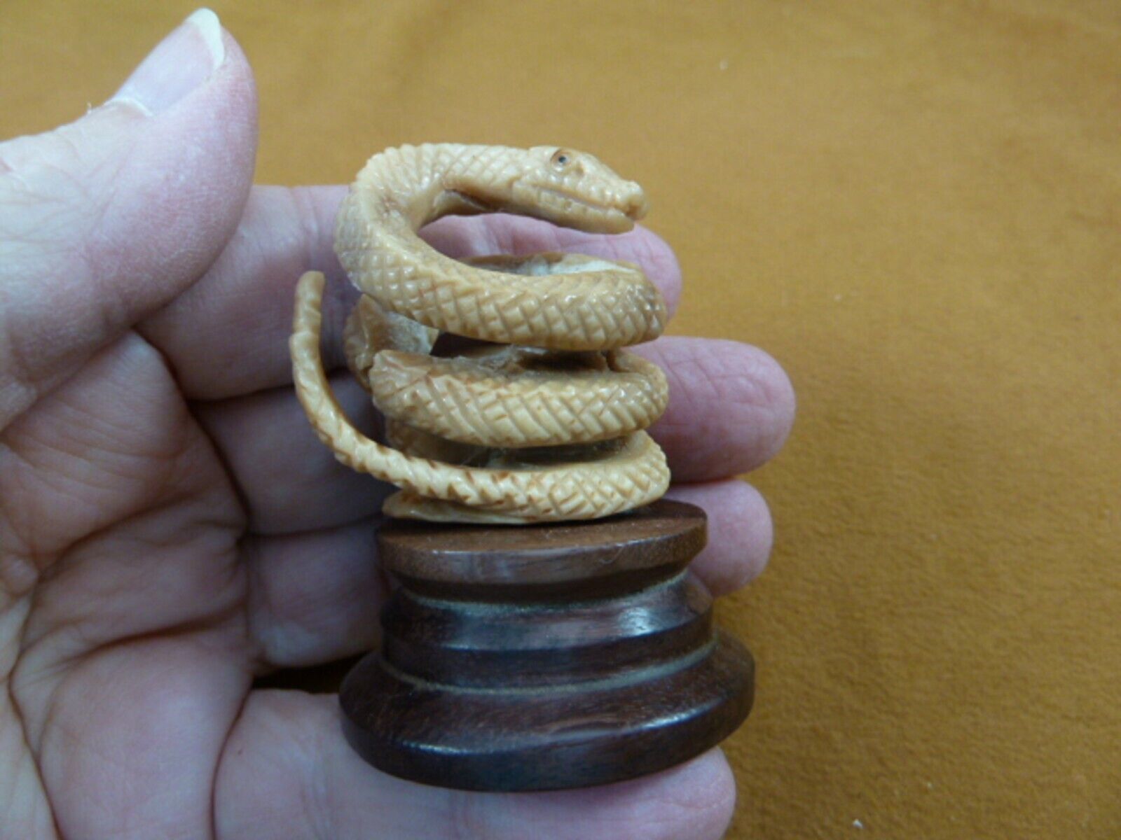 tb-snake-13 baby brown coiled standing Snake Tagua NUT palm figurine ...