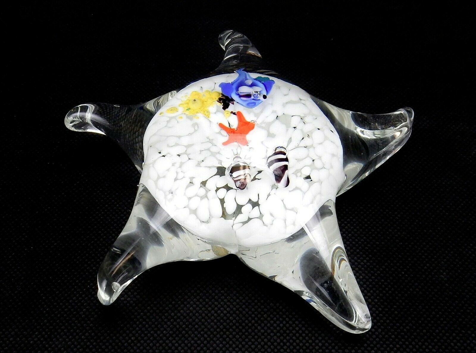 Vintage Paperweight in the Shape of a Star FIsh, Shapes of Marine Life ...