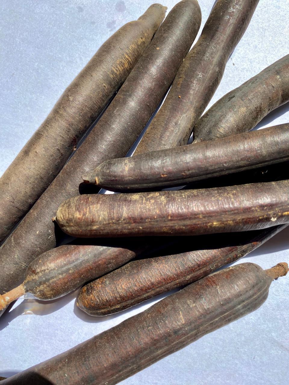 Asam Trengguli Kering / Kayu Raja Cassia Fistula Dried, 80 Gram - Other ...