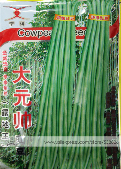 Fresh 1 Pack 200G / Pack Long Green Cowpea Seeds Vigna Sinensis Seeds ...