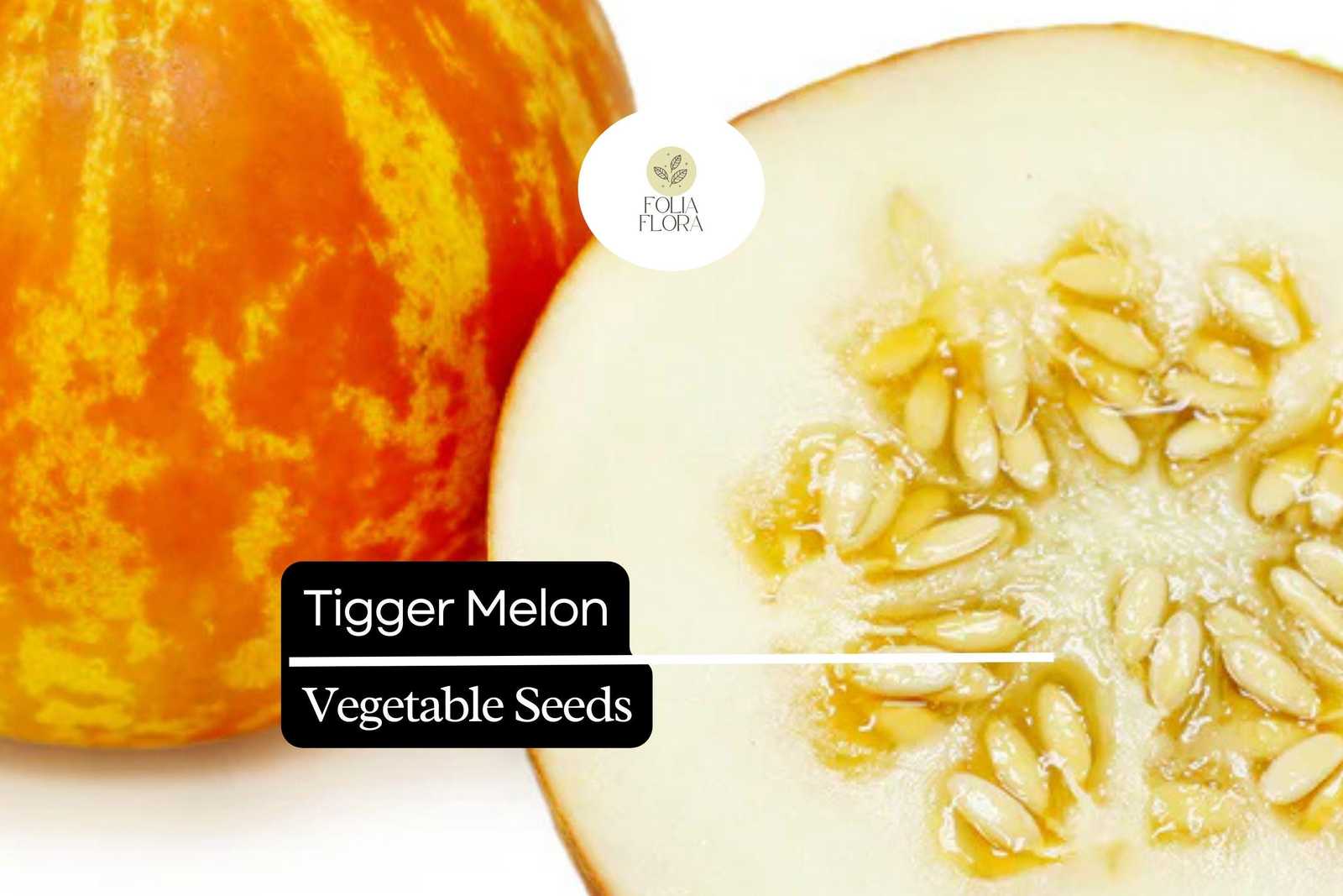 10 Seeds Tigger Melon (Cucumis melo) – Unique Heirloom Melon with ...
