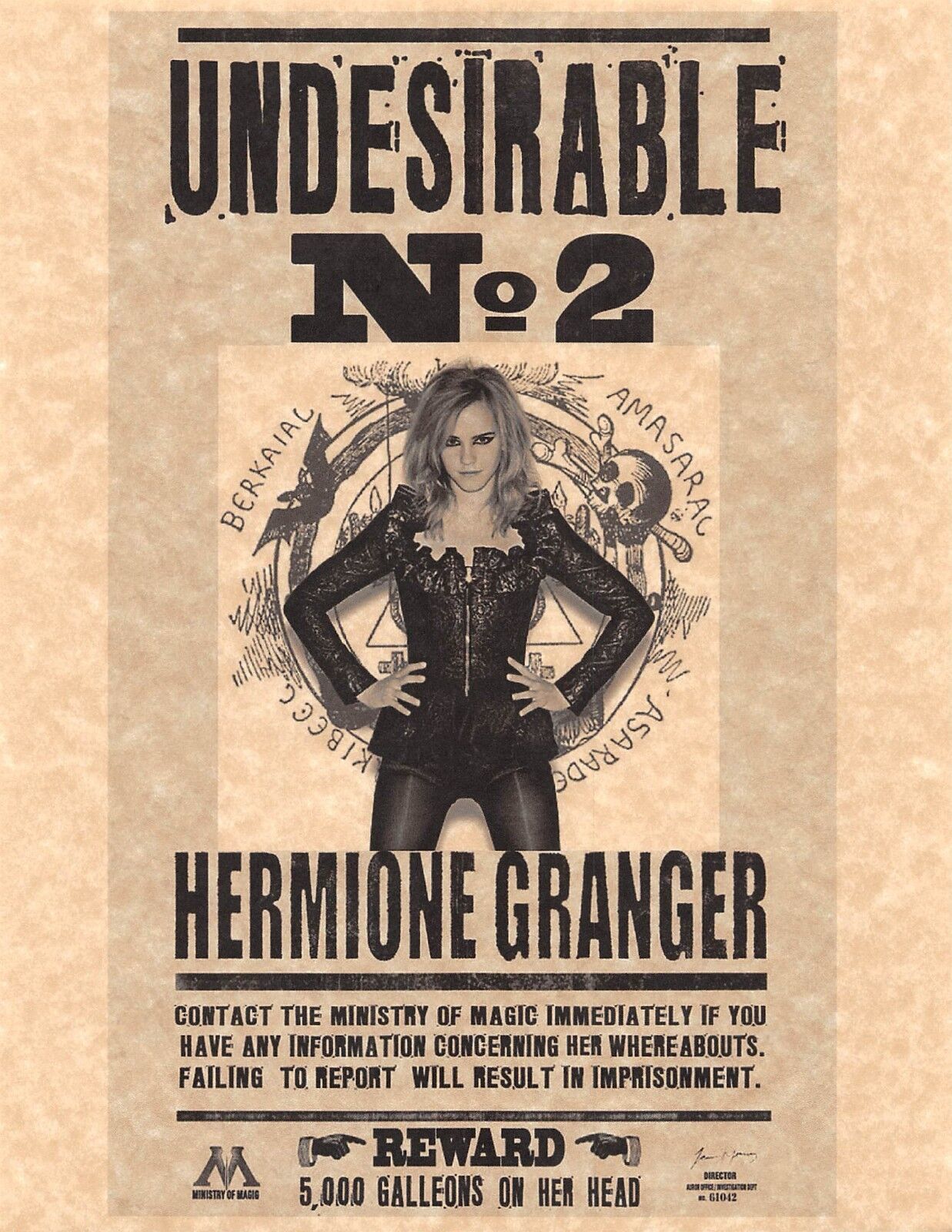 Harry Potter Undesirable Number 2 Hermione Granger Flyer/Poster Emma ...