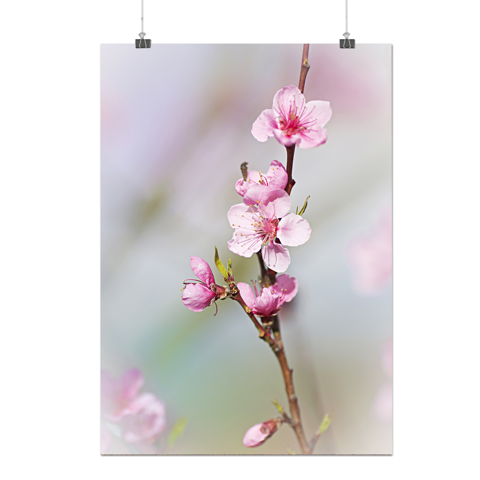 Sakura Tree Blossom Japanese Matte/Glossy Poster A0 A1 A2 A3 A4 ...