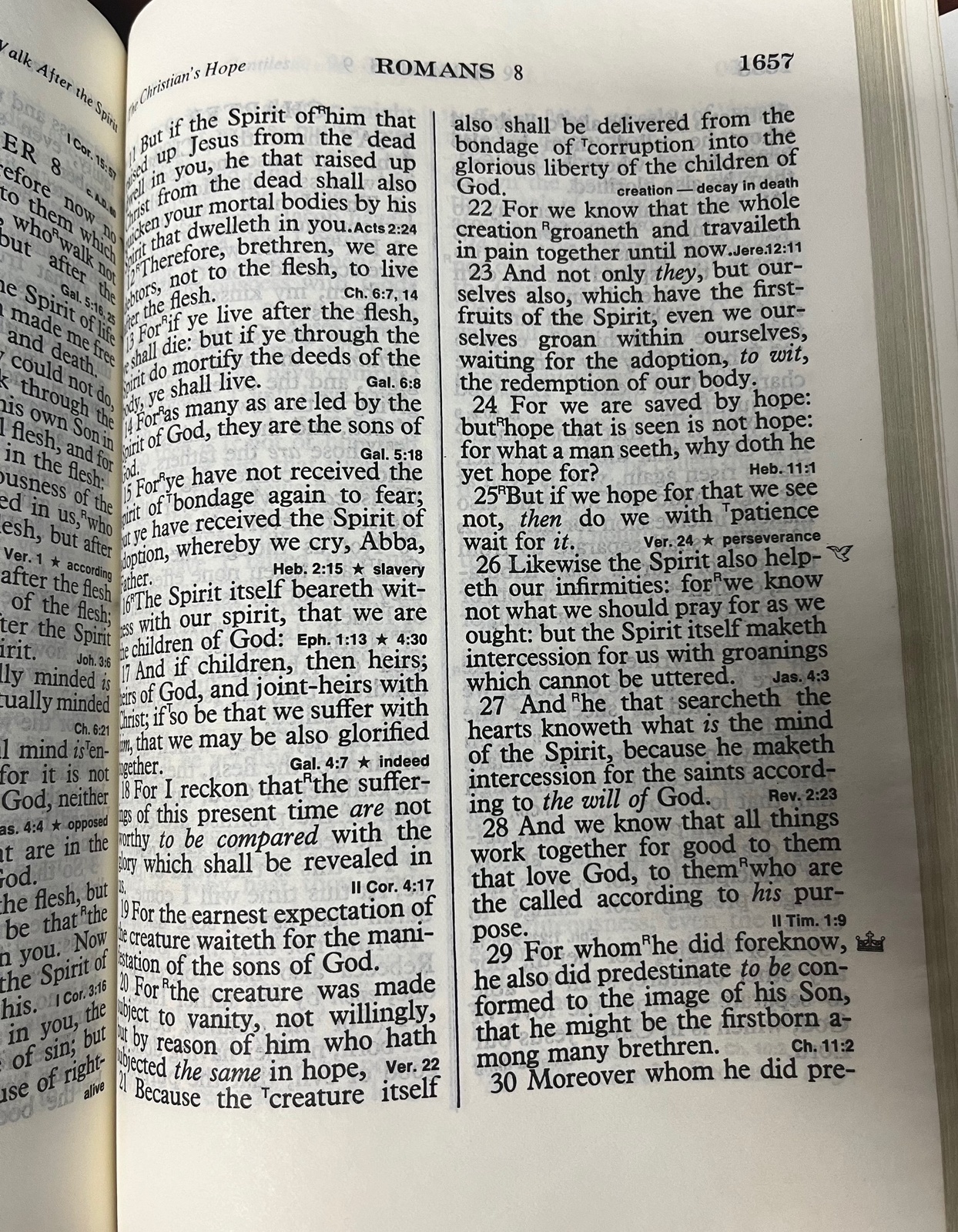 Holy Bible, Large Print, KJV A Bible Prophecy Adventure Revelation ...