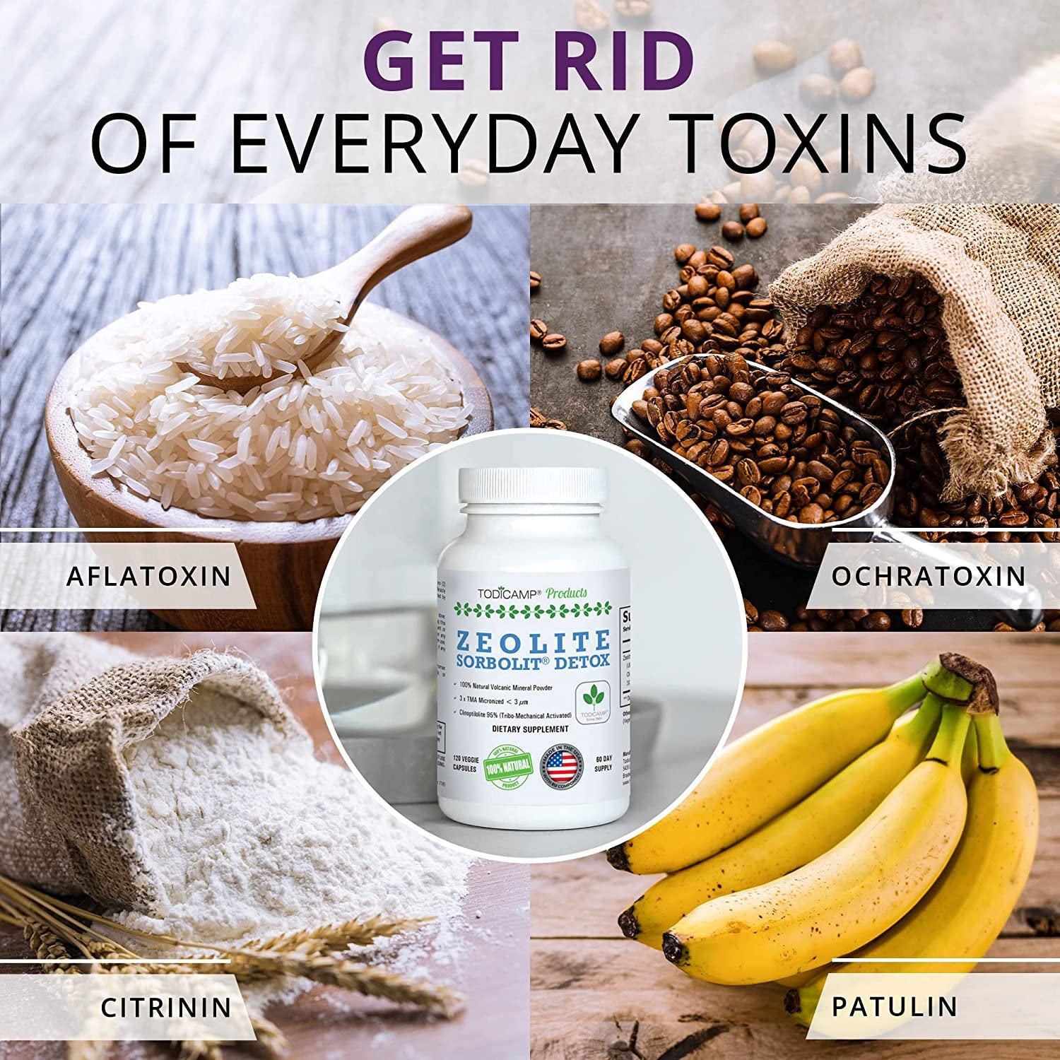 TODICAMP Zeolite Detox - Zeolite Capsules Sorbolit Ultra FINE 1-2 µm ...