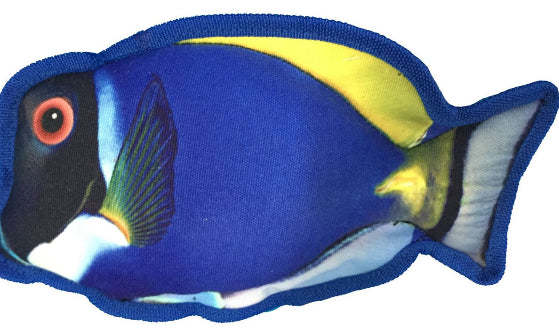 10" Tropical Blue Tang - Other