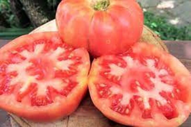 BEST 50 Seeds Easy To Grow Henderson’S Pink Tomato Juicy Vegetable ...