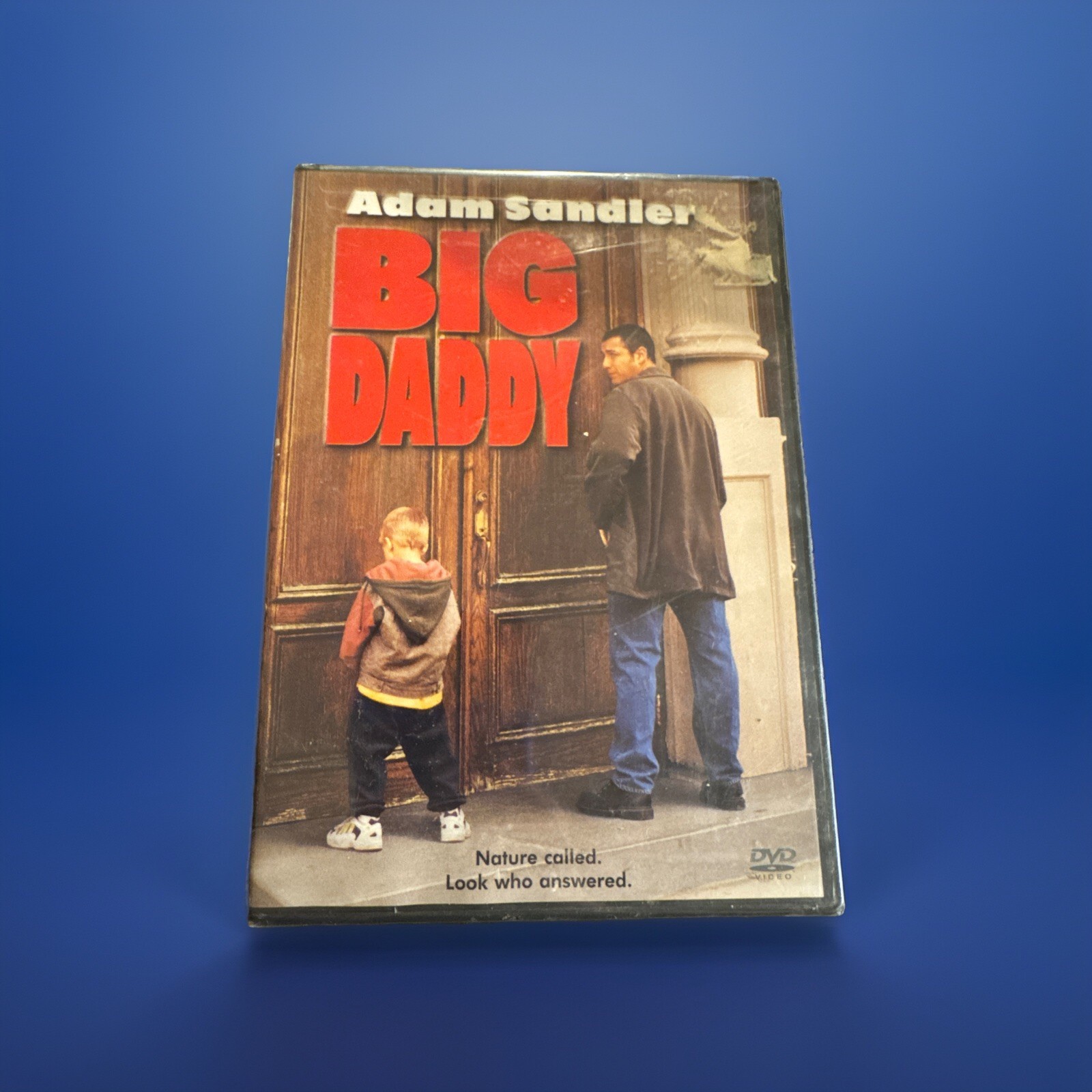 Big Daddy (DVD, 1999) (Widescreen & Full Screen ) - DVDs & Blu-ray Discs