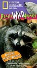 National Geographic: Real Wild Animals Amazing North America [VHS] [VHS ...