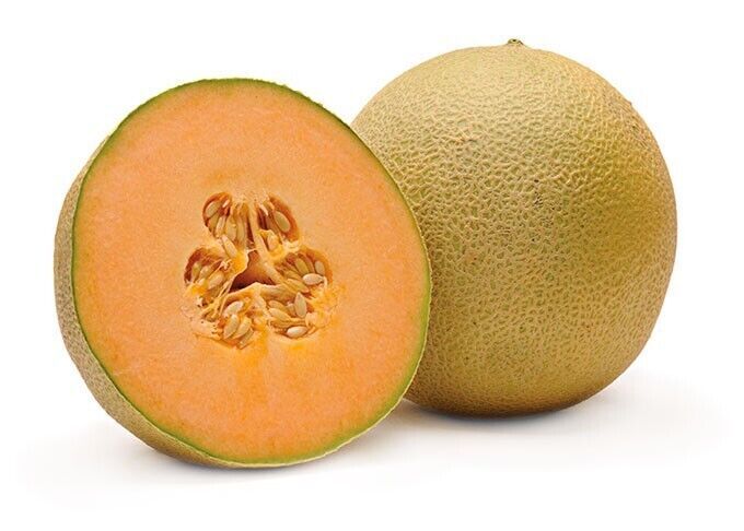 PS Cantaloupe Melon 5 Fruit Seeds Fast Grow - Seeds & Bulbs