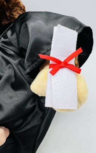 Build A Bear Monkey Graduation Cap Gown Diploma Plush Stuffed Animal ...