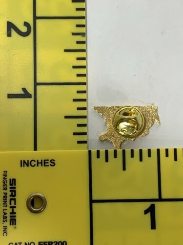 United States Secret Service Virginia Police Lapel Pin - Pins & Buttons