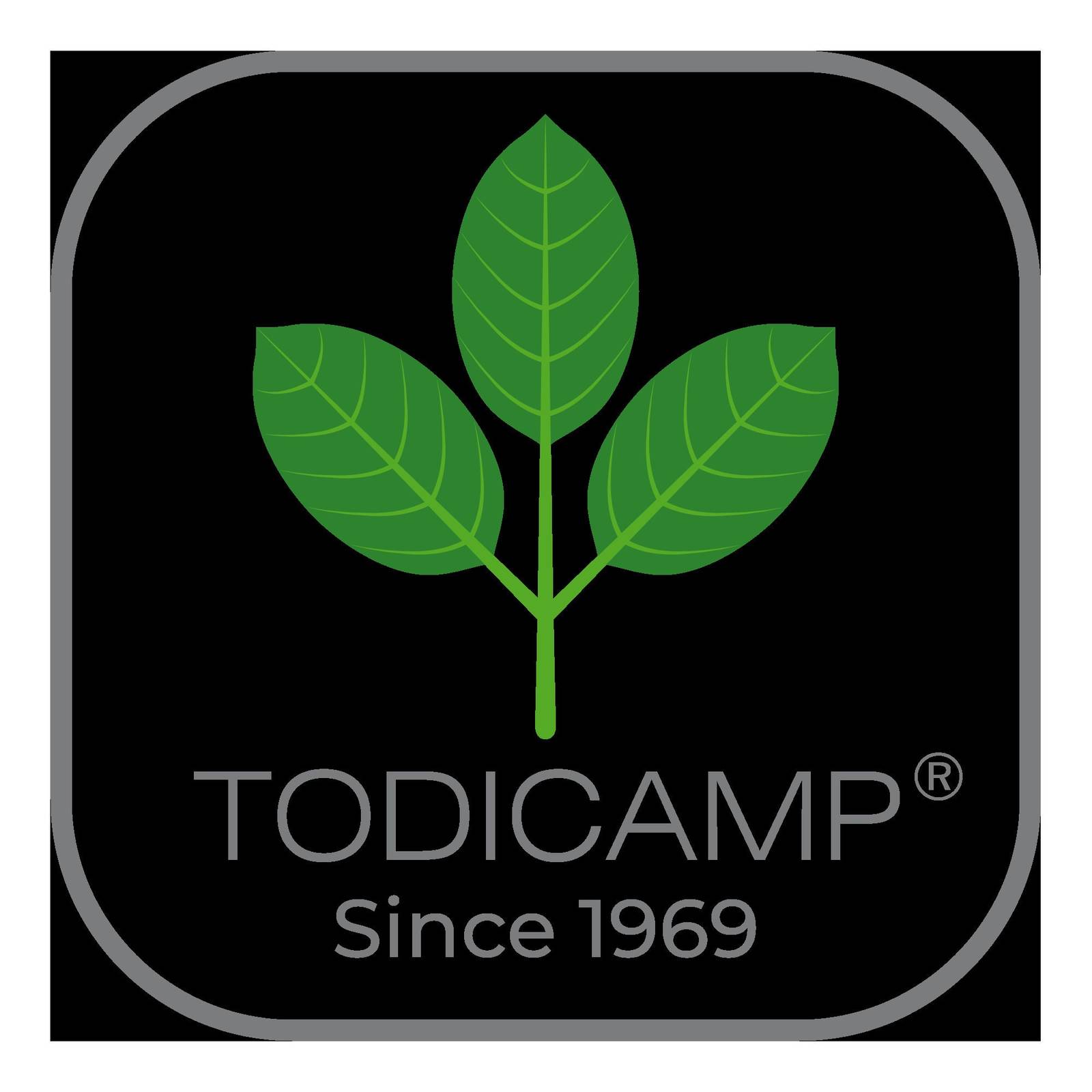 TODICAMP Zeolite Detox - Zeolite Capsules Sorbolit Ultra FINE 1-2 µm ...