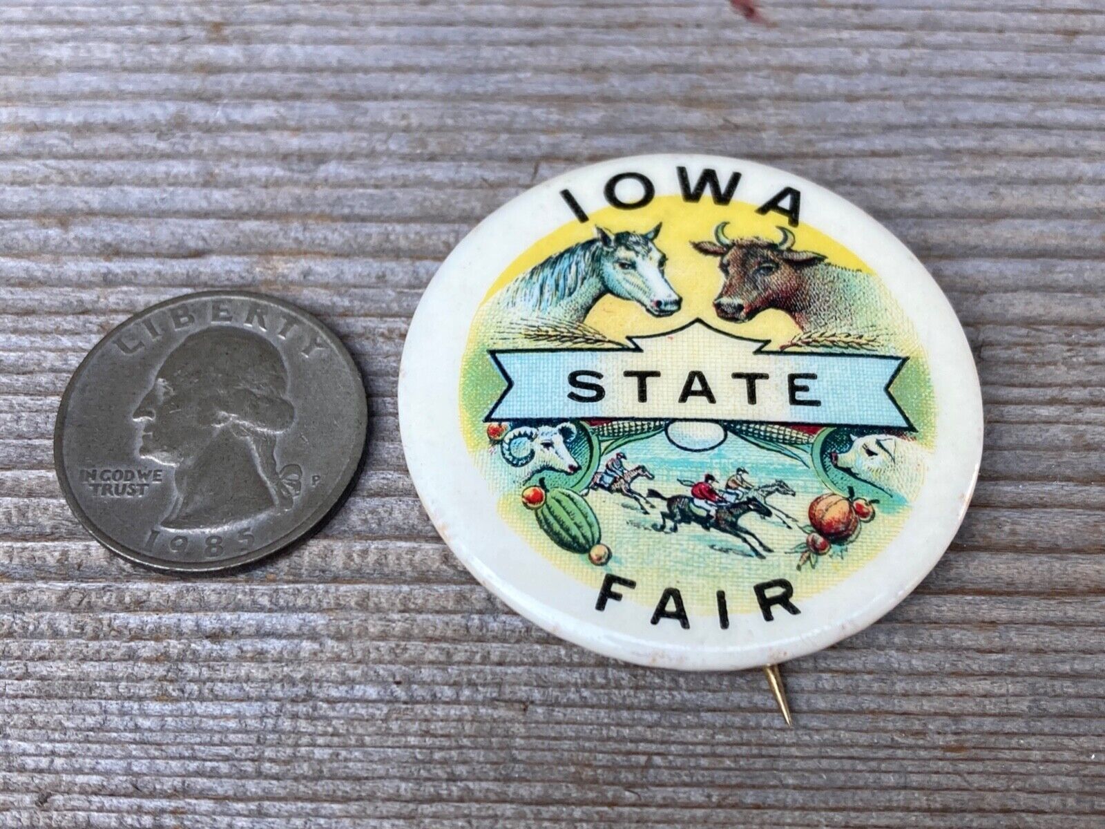 Antique Iowa State Fair Celluloid Pin Back Button Horse & Cow - County ...