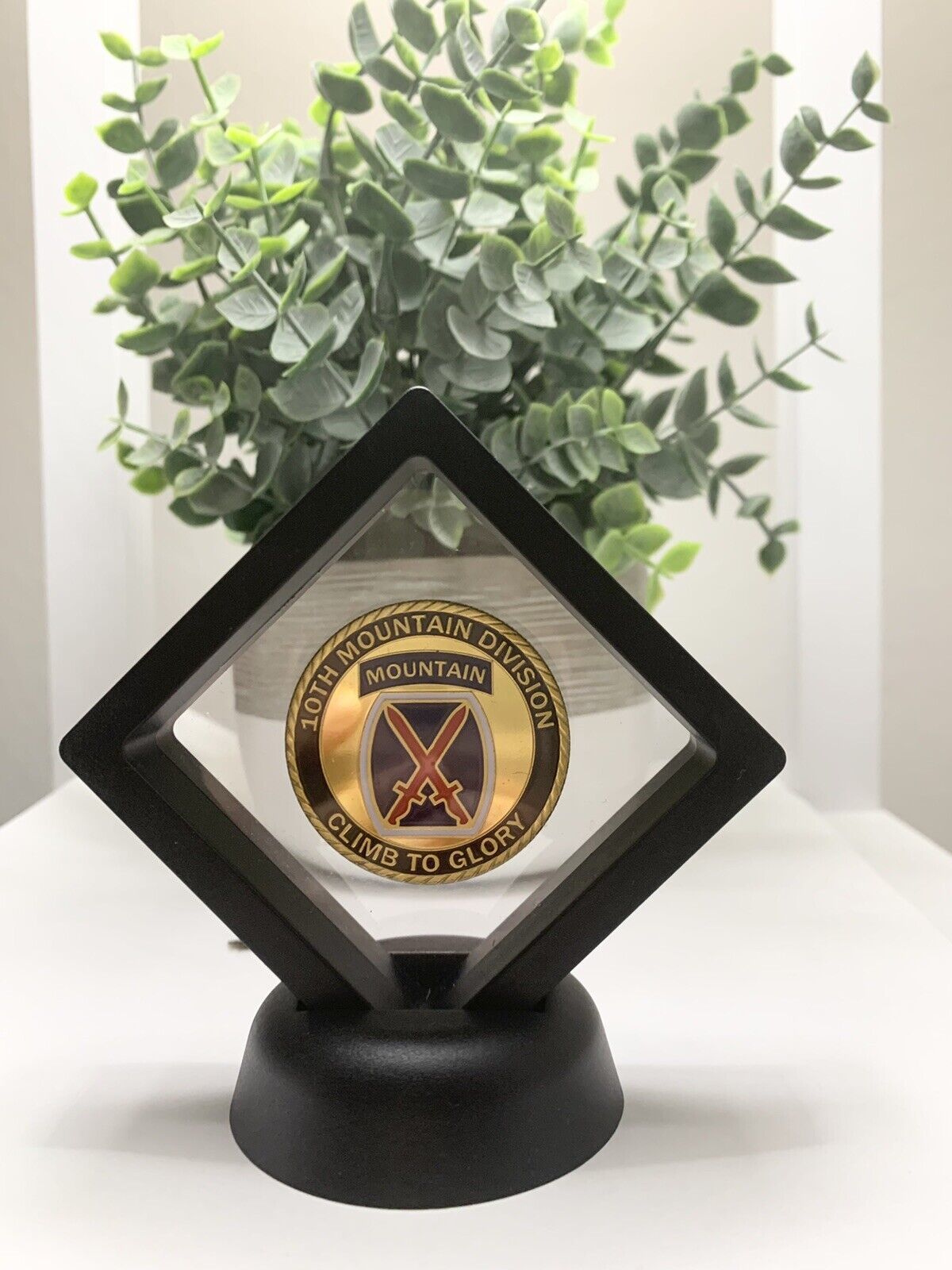 US ARMY 10th MOUNTAIN DIVISION Challenge Coin With 3D Floating Displays ...