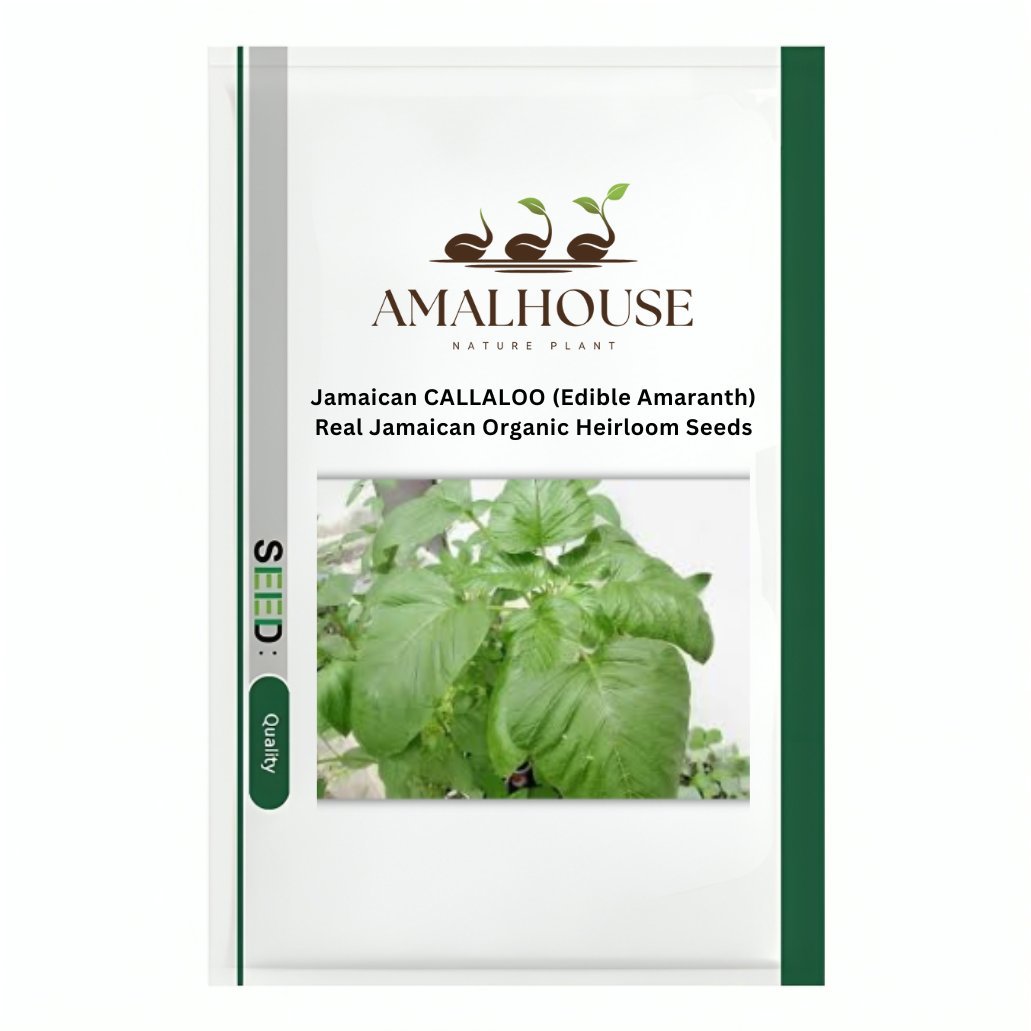 Jamaican CALLALOO (Edible Amaranth) Real Jamaican Heirloom - 100 Seeds ...